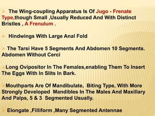 BIOLOGY ,HABITAT AND IMPORTANT DIAGONOSTIC FEATURES OF THE INSECT ORDER ...