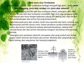 Tugas Biologi Kelas VIII SMP | PPT