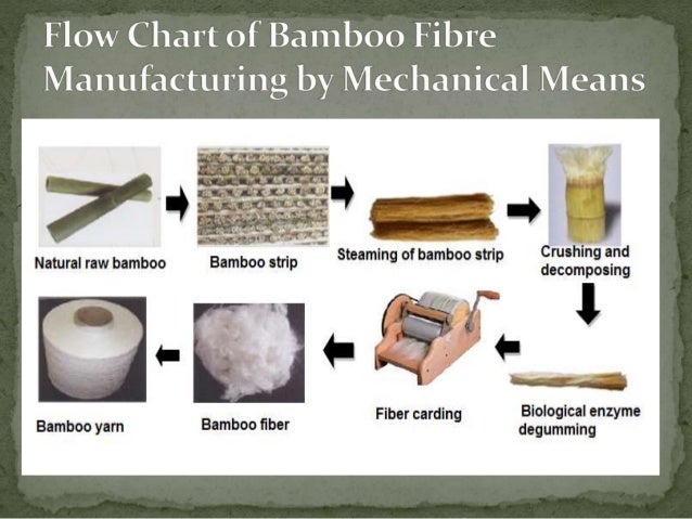 Bio-processing of green Bamboo Textile