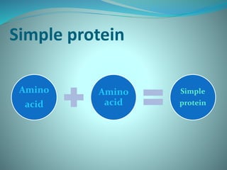 Protein - The source of life | PPTX