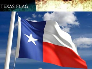Texas | PPT