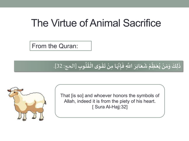 Animal Sacrifice in Islam | PPT
