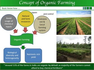 Organic Agriculture | PPTX
