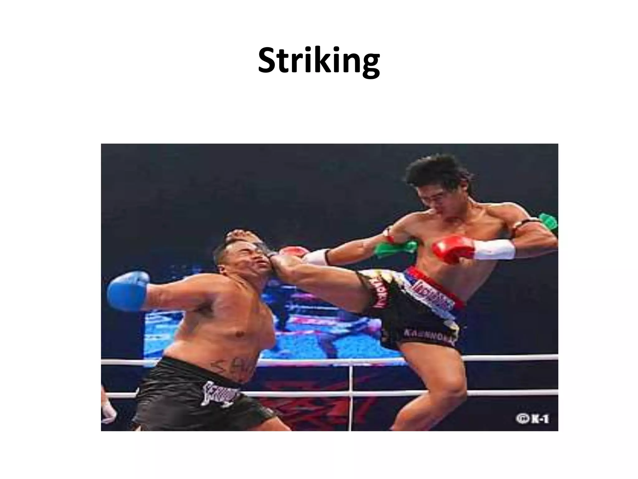 fighting styles | PPTX