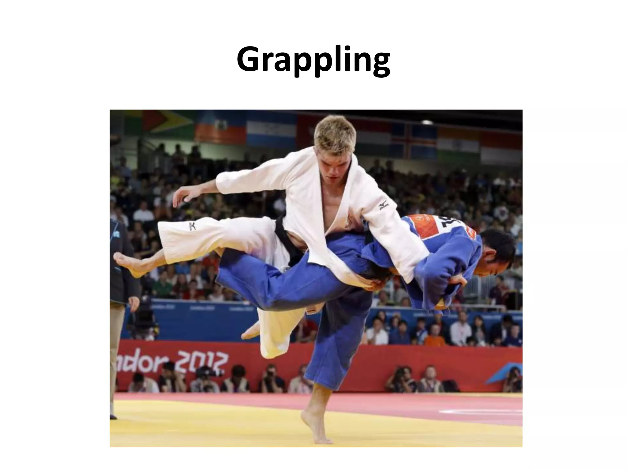 fighting styles | PPT