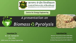 Biomass Pyrolysis, Biochar, Syngas | PPTX