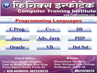 Phoenix InfoTech | PPT