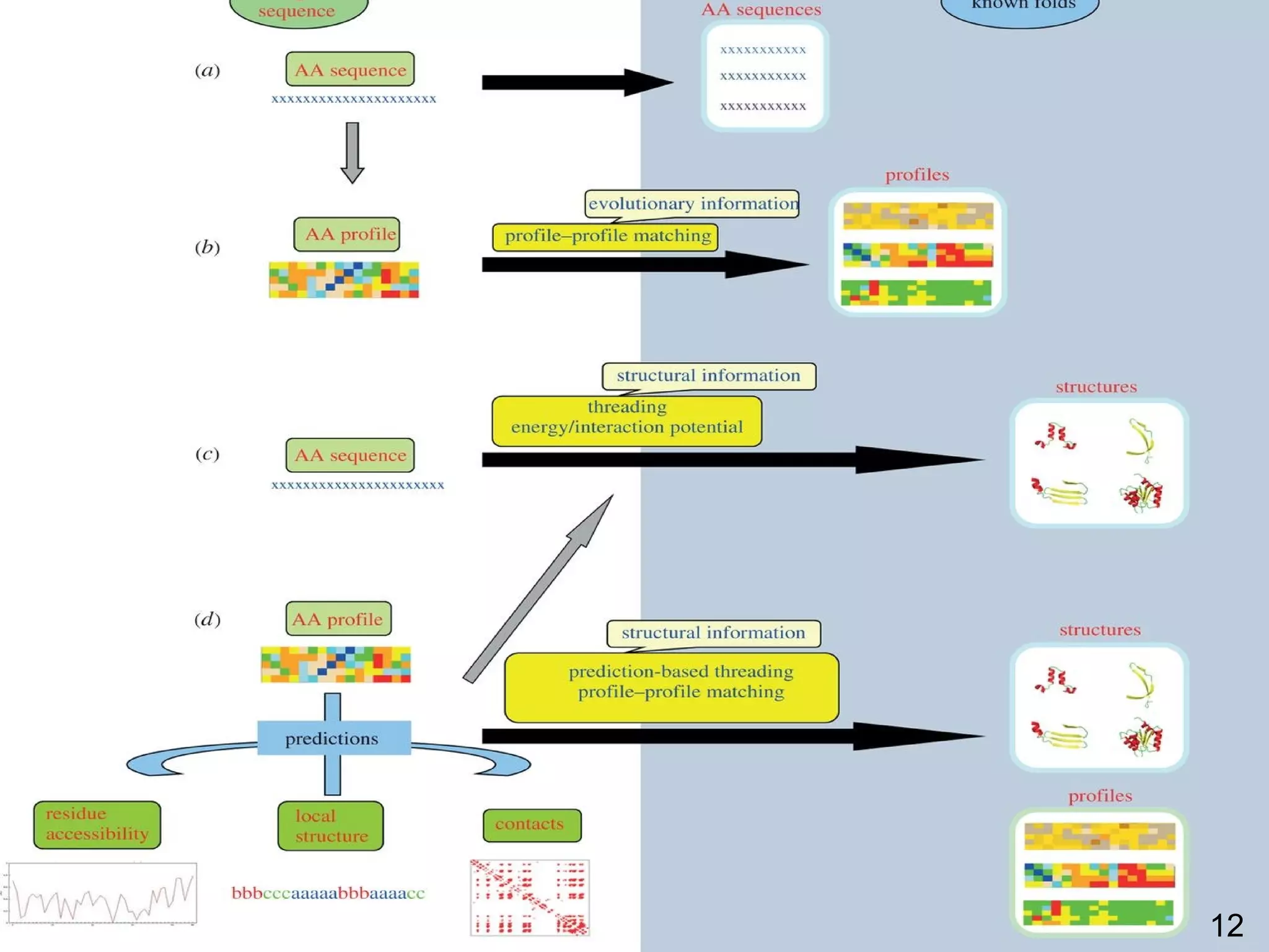 methods for protein structure prediction | PPT