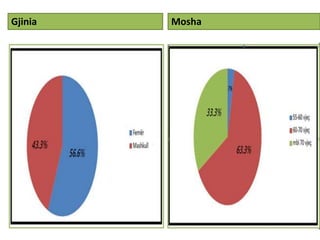 Punim hulumtues | PPTX