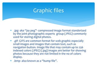 FILE AND TYPES OF FILE | PPT