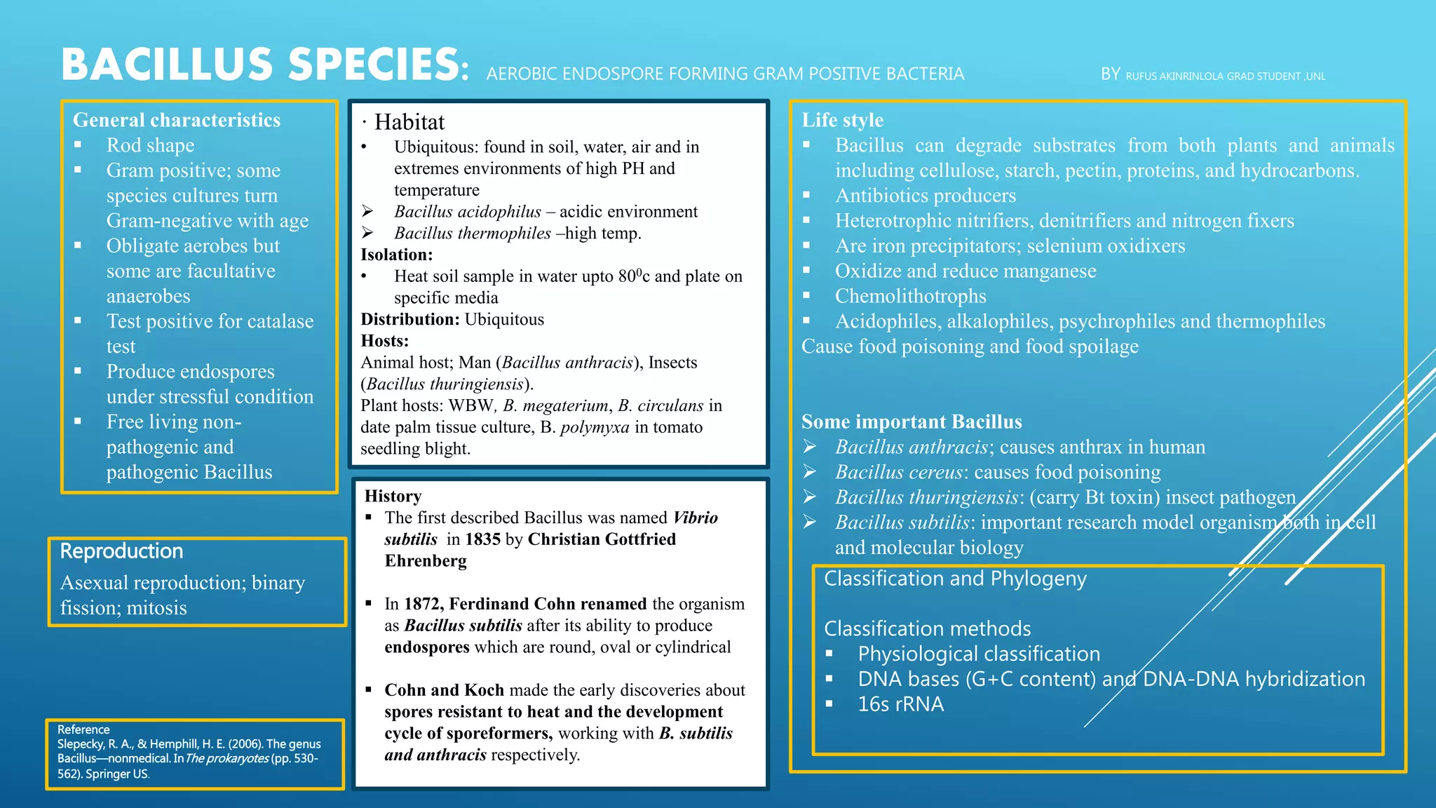 Bacillus species; the power points | PPTX
