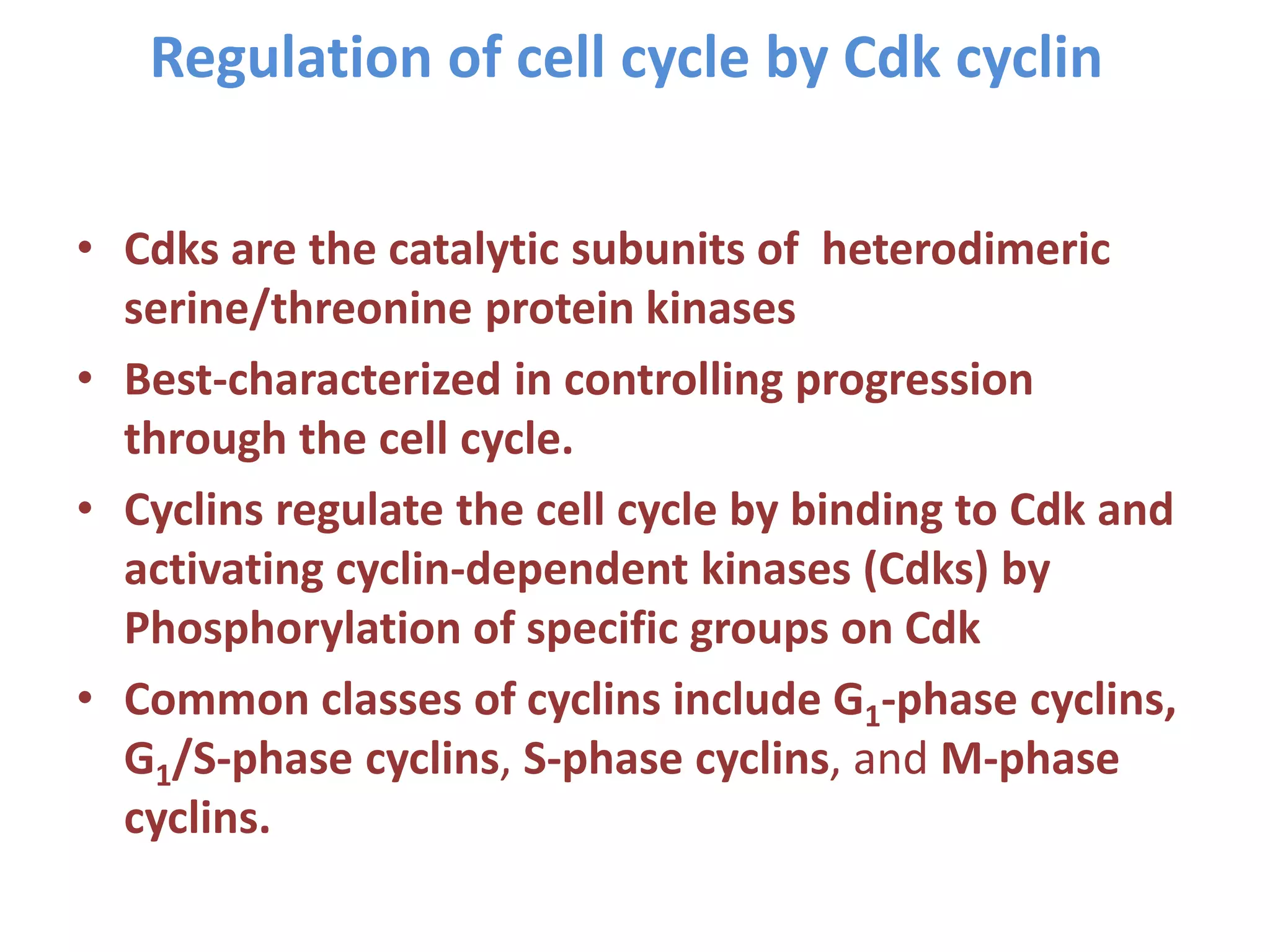 Cell Cycle Regulation | PPTX