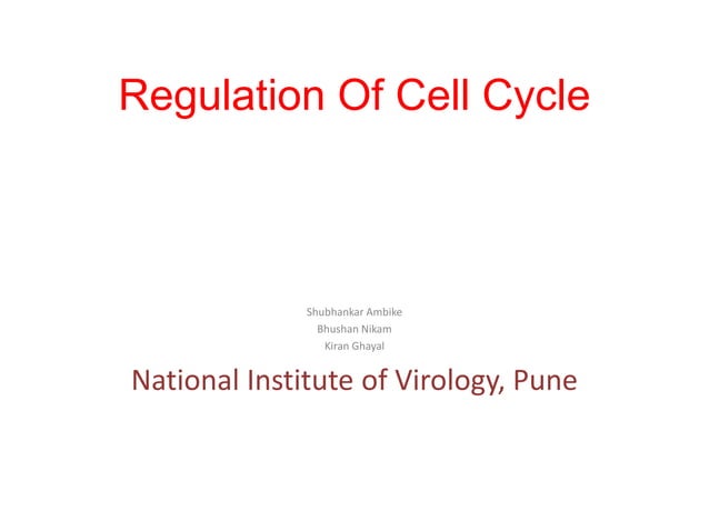 Cell Cycle Regulation | PPTX