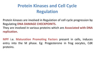Cell Cycle Regulation | PPTX
