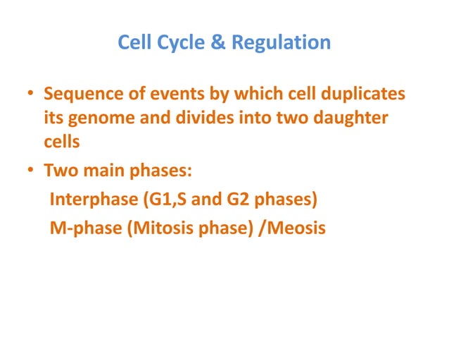 Cell Cycle Regulation | PPTX
