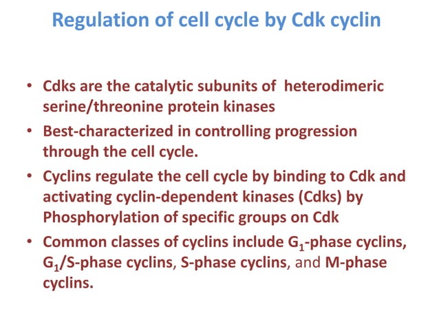 Cell Cycle Regulation | PPTX