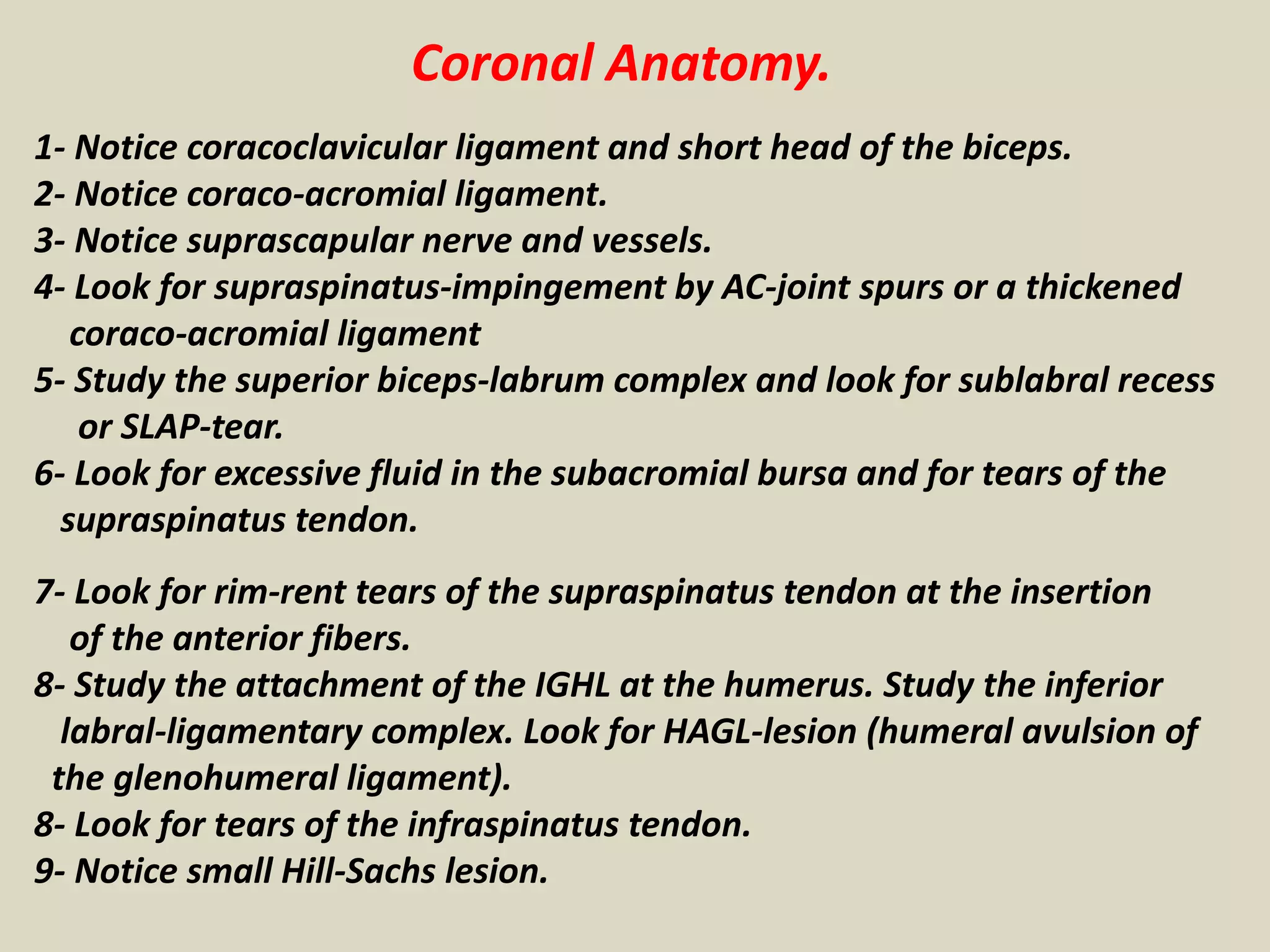 Presentation1.pptx, radiological anatomy of the shoulder joint. | PPTX
