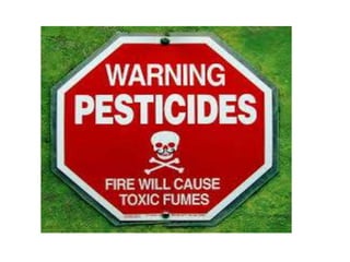 Nature in danger | PPTX
