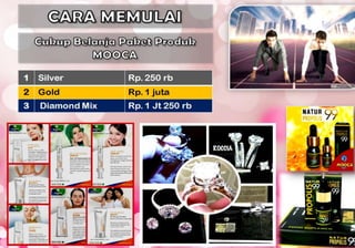 MOOCA EXCLUSIVE PROGRAM | PPTX