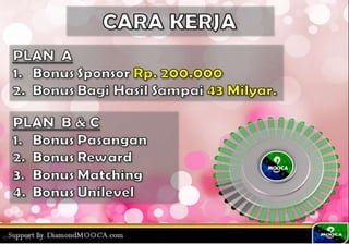 MOOCA EXCLUSIVE PROGRAM | PPTX