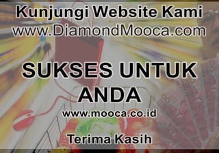 MOOCA EXCLUSIVE PROGRAM | PPT