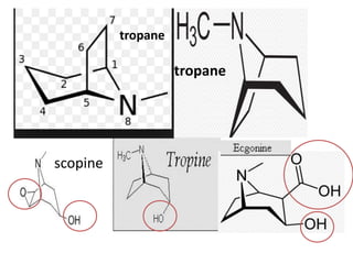 alkaloids structures revision | PPT