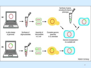Synthetic Biology | PPTX