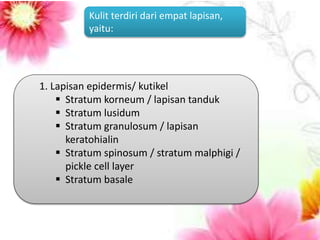 Presentation1 | PPTX