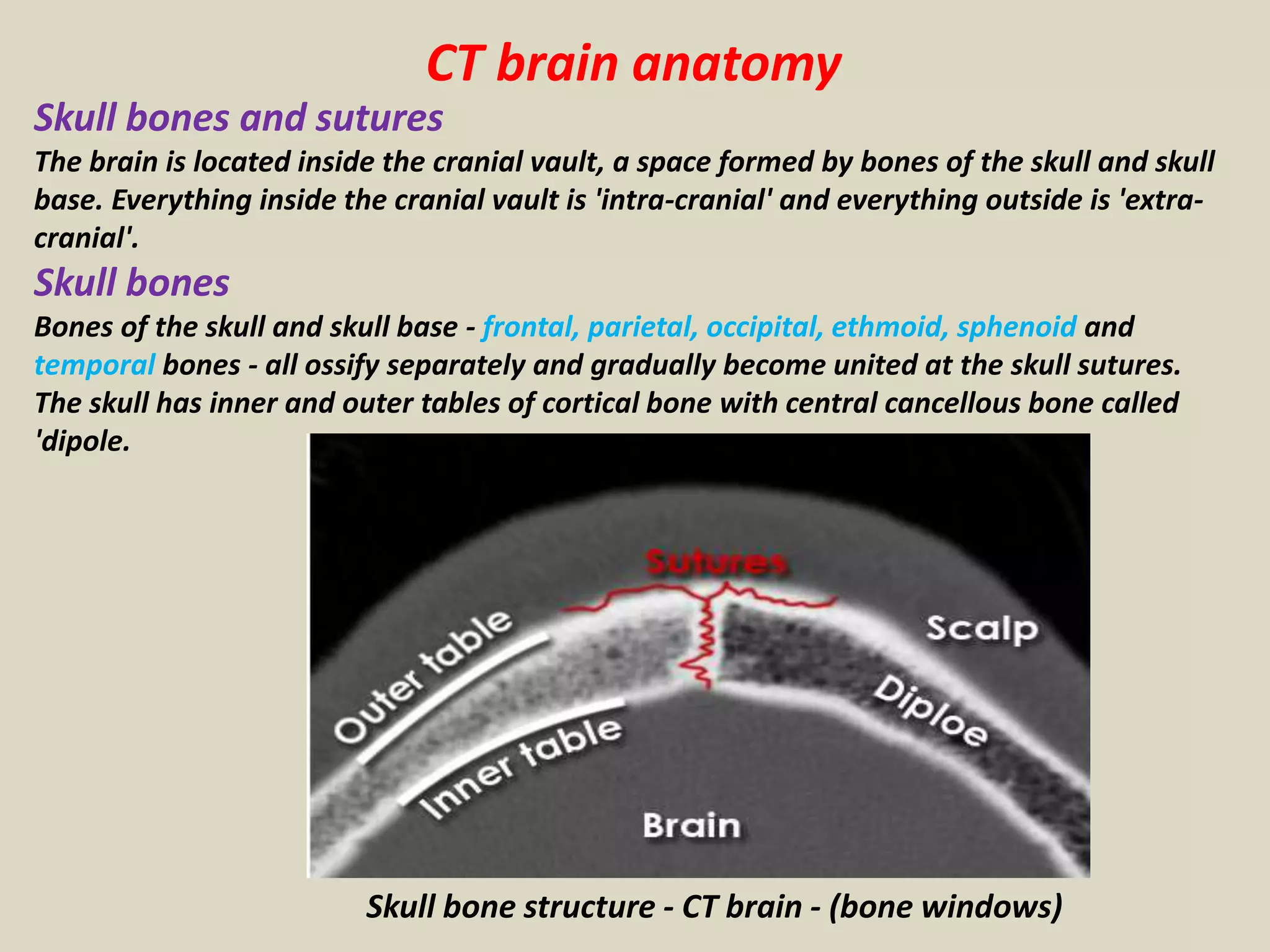 Presentation1.pptx, radiological anatomy of the brain. | PPTX