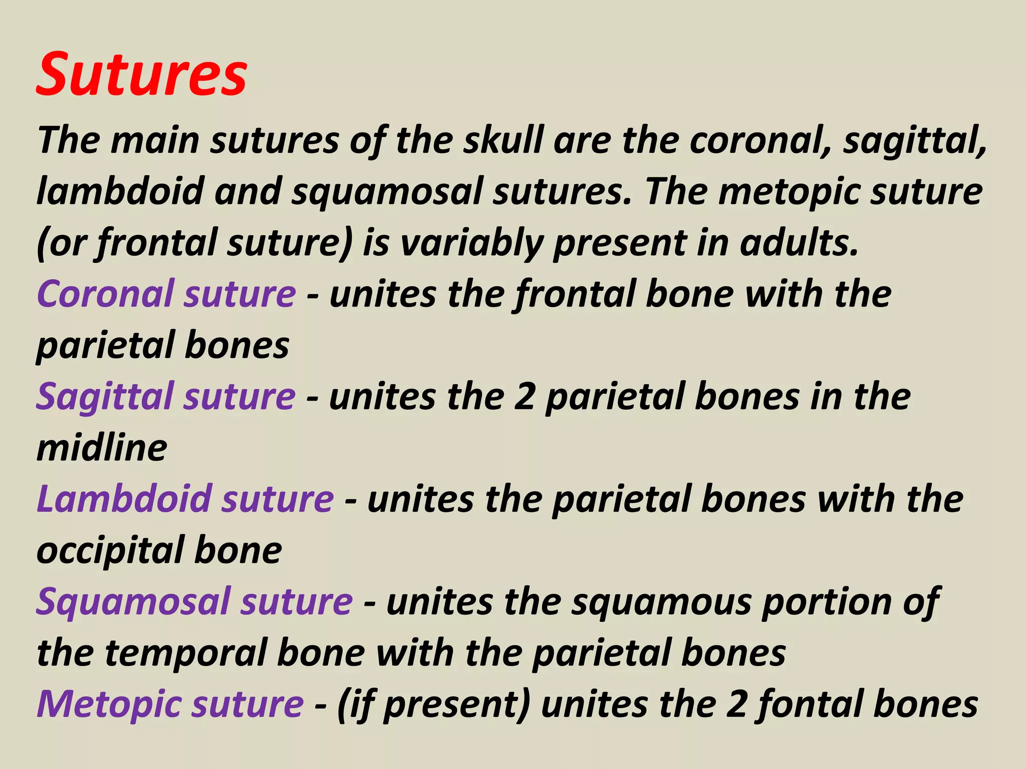 Presentation1.pptx, radiological anatomy of the brain. | PPTX