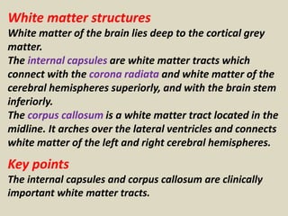 Presentation1.pptx, radiological anatomy of the brain. | PPTX