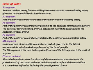 Presentation1.pptx, radiological anatomy of the brain. | PPTX