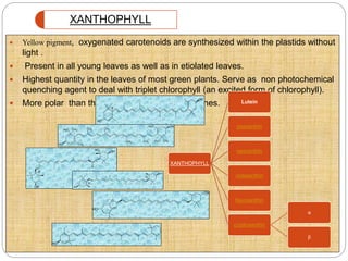 Presentation1 | PPTX