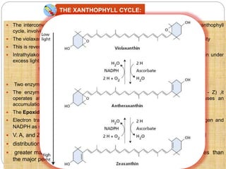 Presentation1 | PPTX