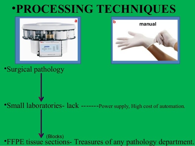 A rapid manual processing technique for resource‑limited small labora…