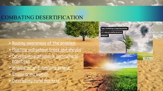 Desertification | PPTX