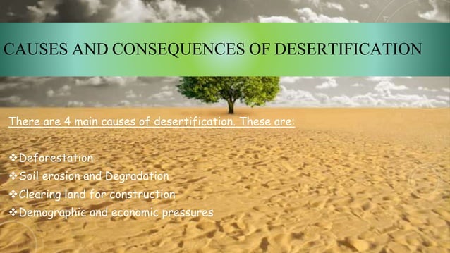 Desertification | PPTX
