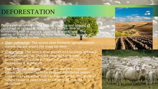 Desertification | PPTX