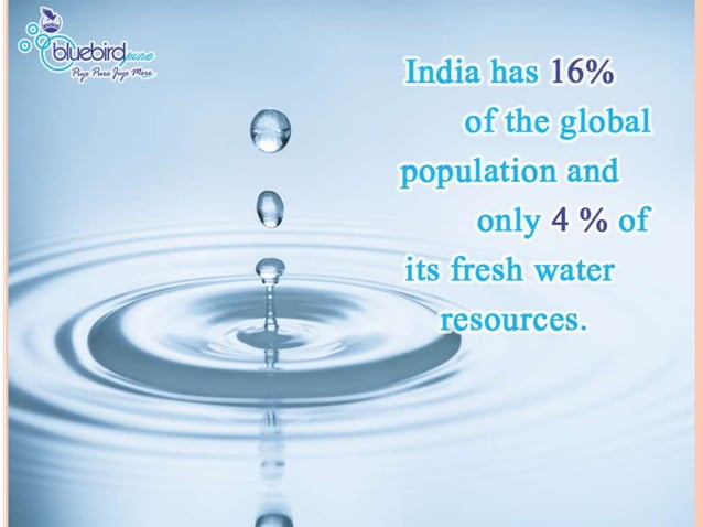 Fun Facts About Water | PPTX