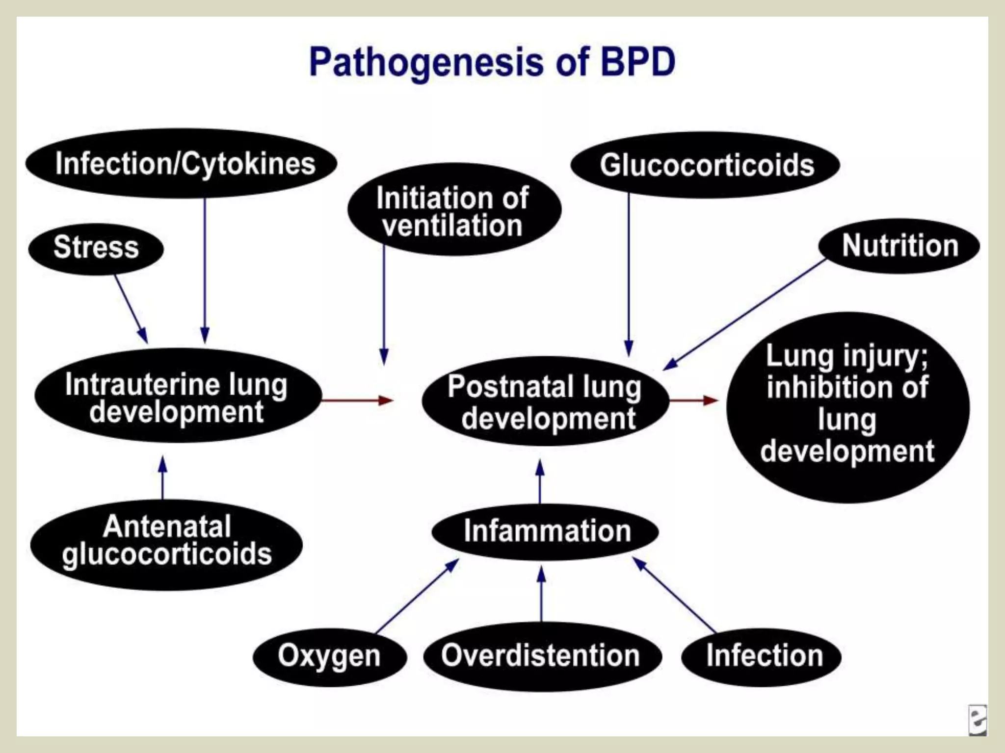 Presentation1.pptx, radiological imaging of neonatal lung disease. | PPTX
