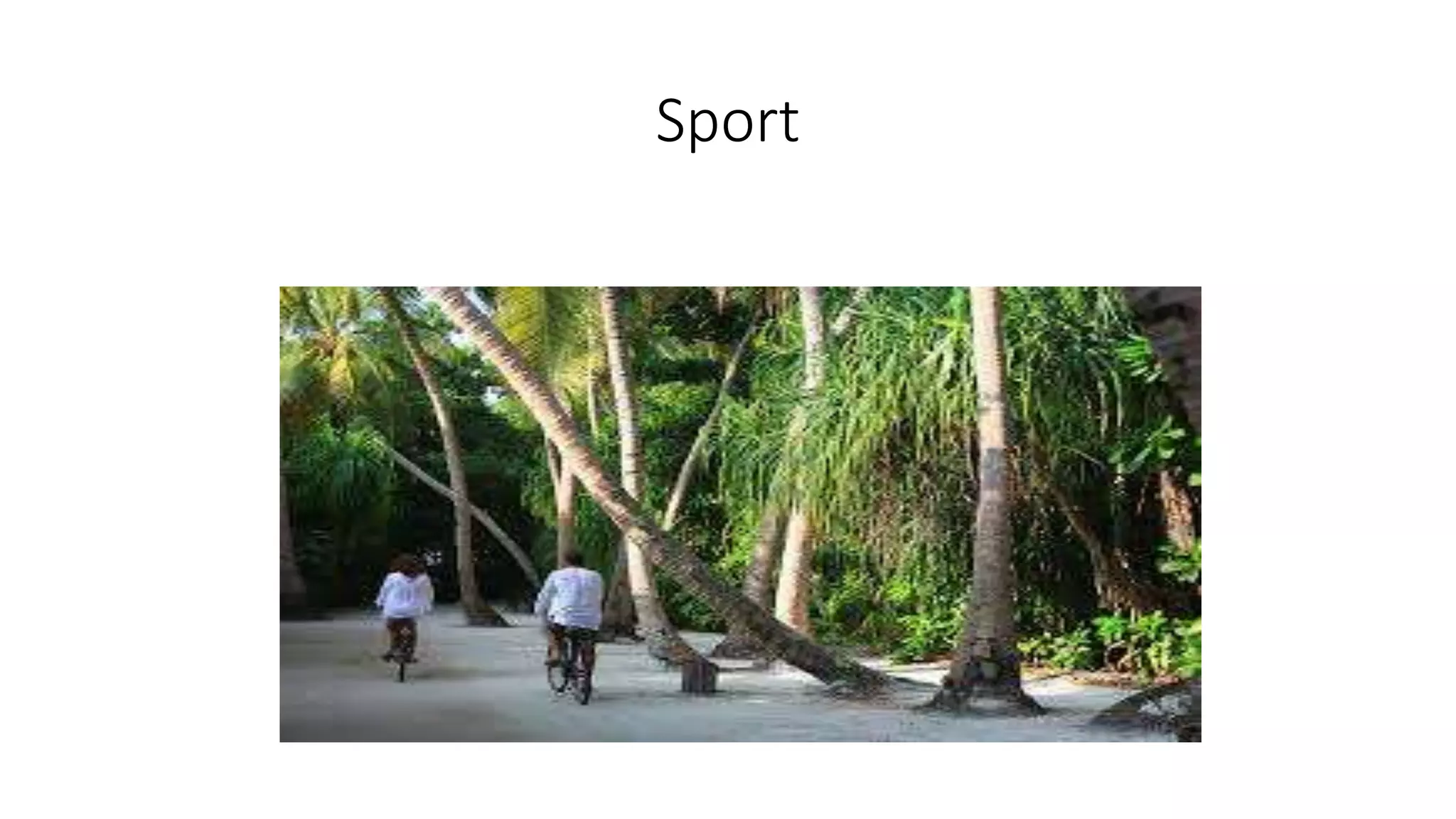 Maldives power point | PPT