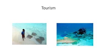 Maldives power point | PPTX