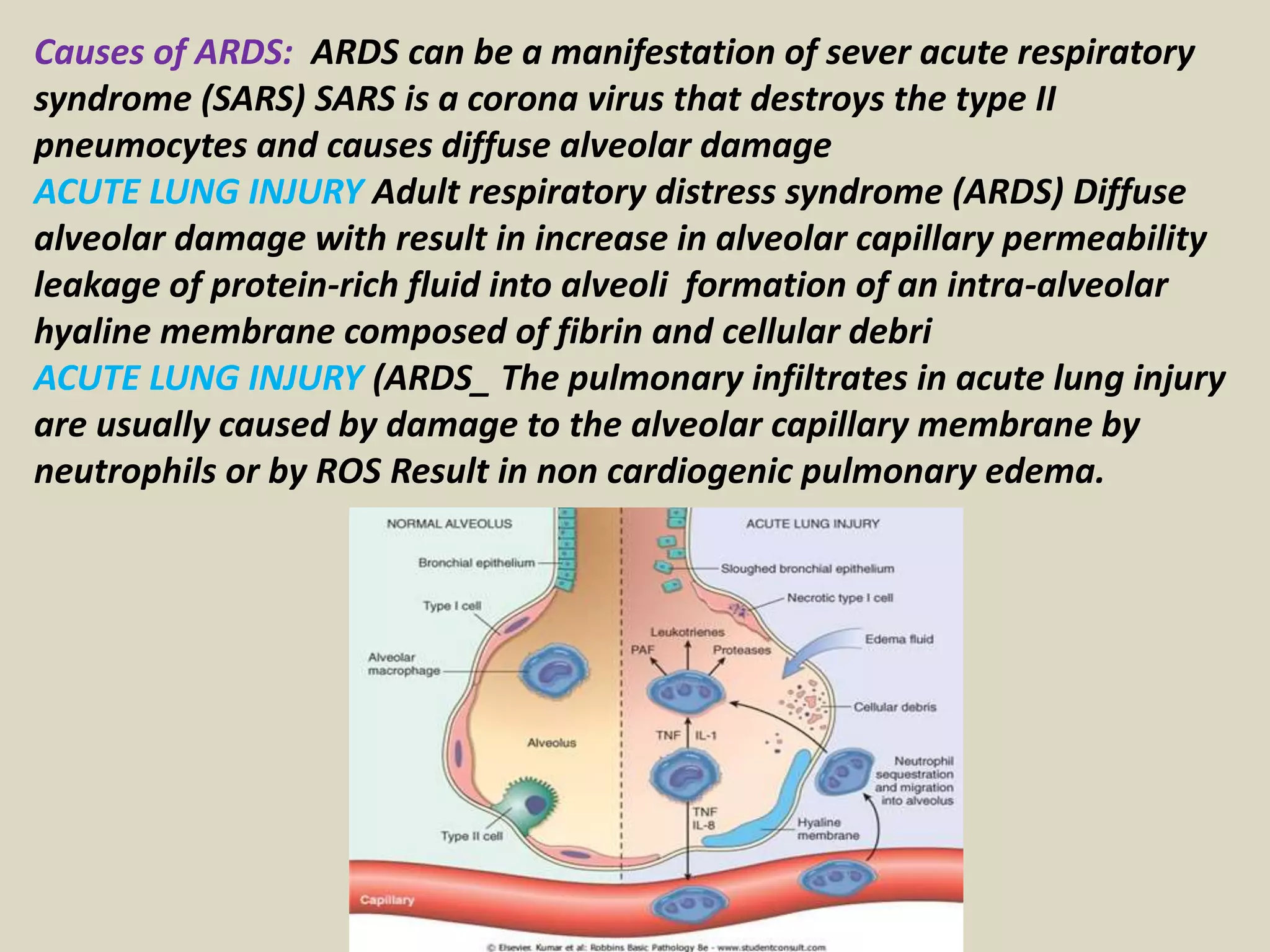 Presentation1.pptx, radiological imaging of restrictive lung diseases ...