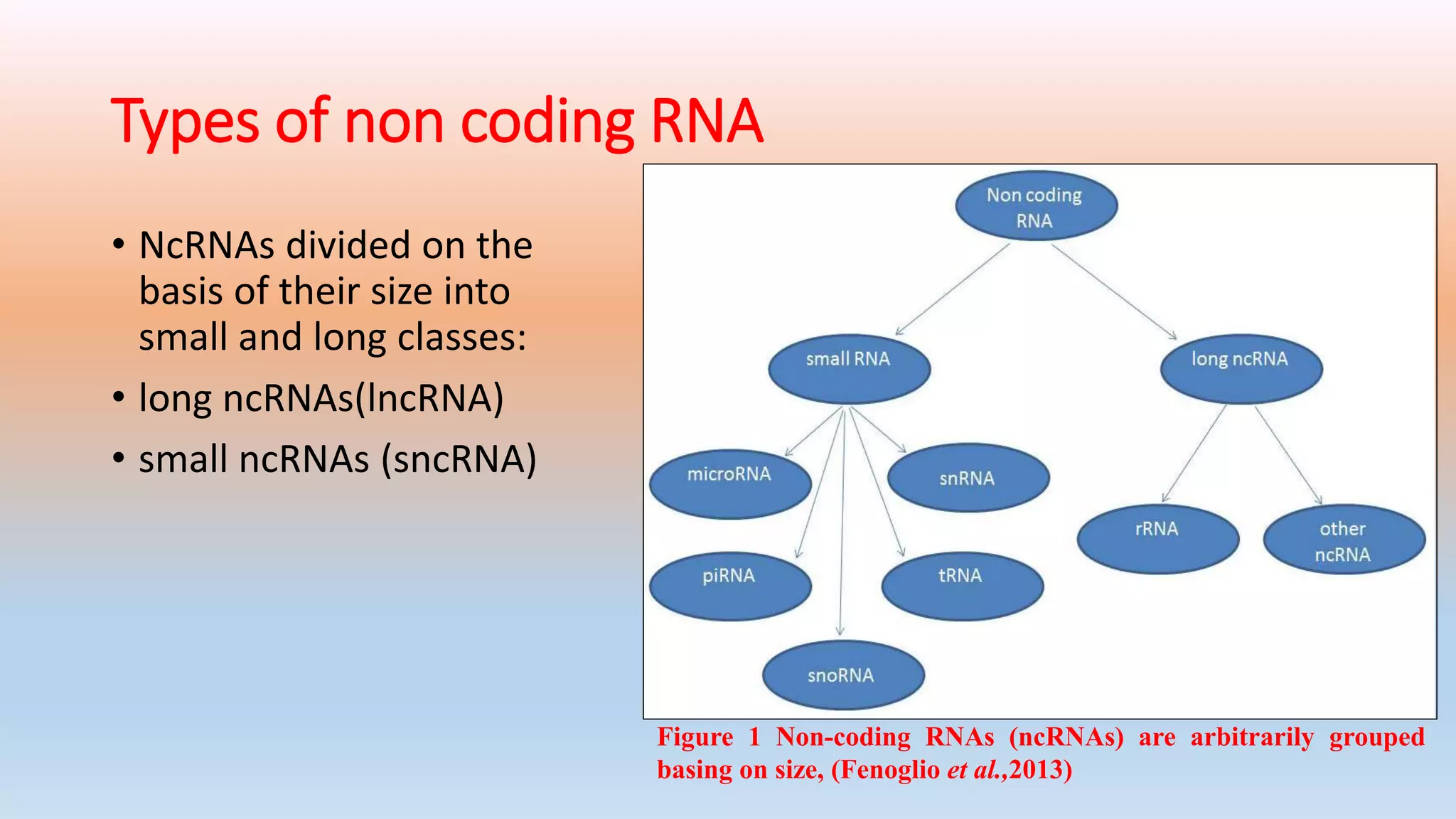 non coding RNA | PPTX