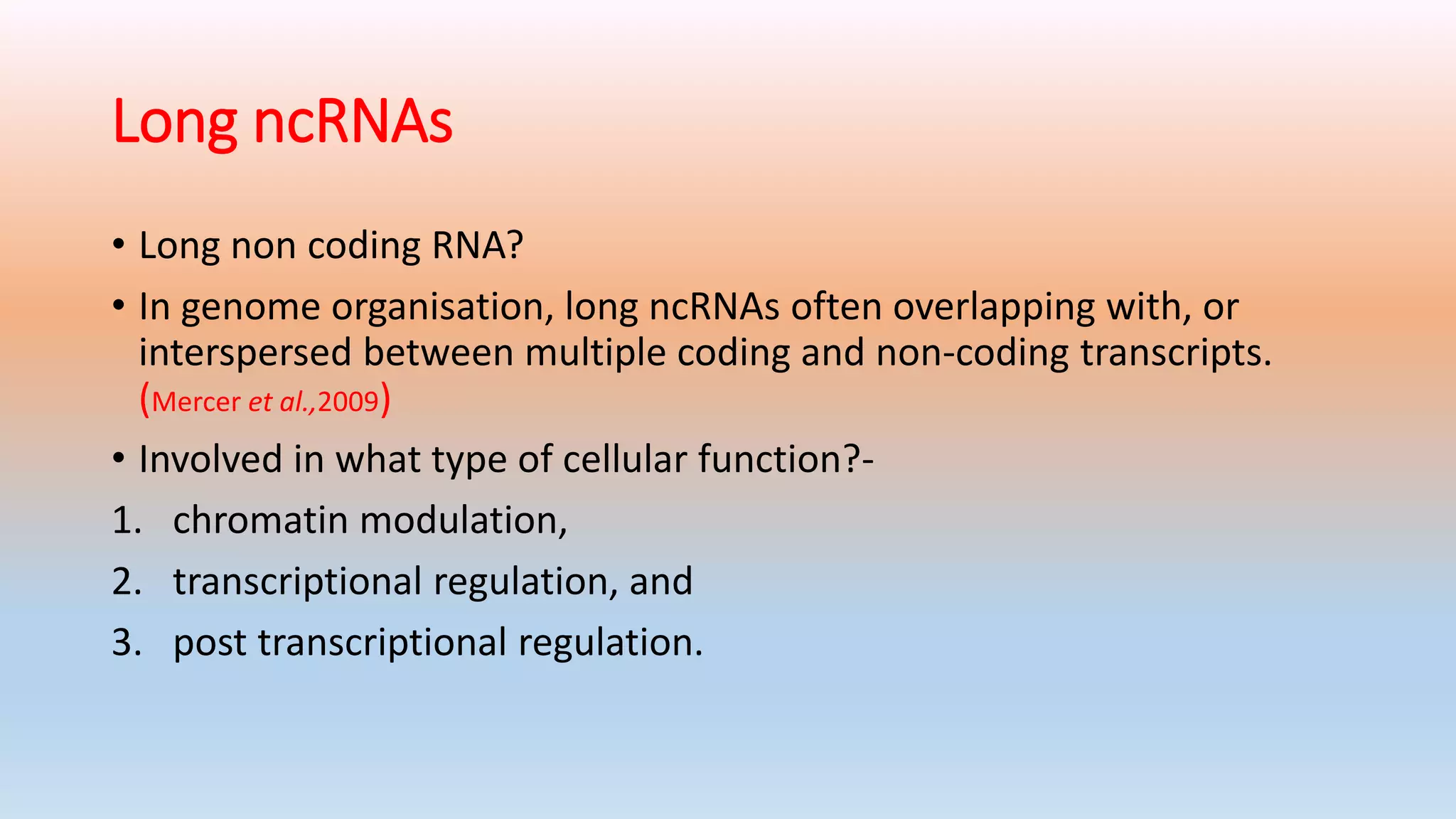 non coding RNA | PPTX