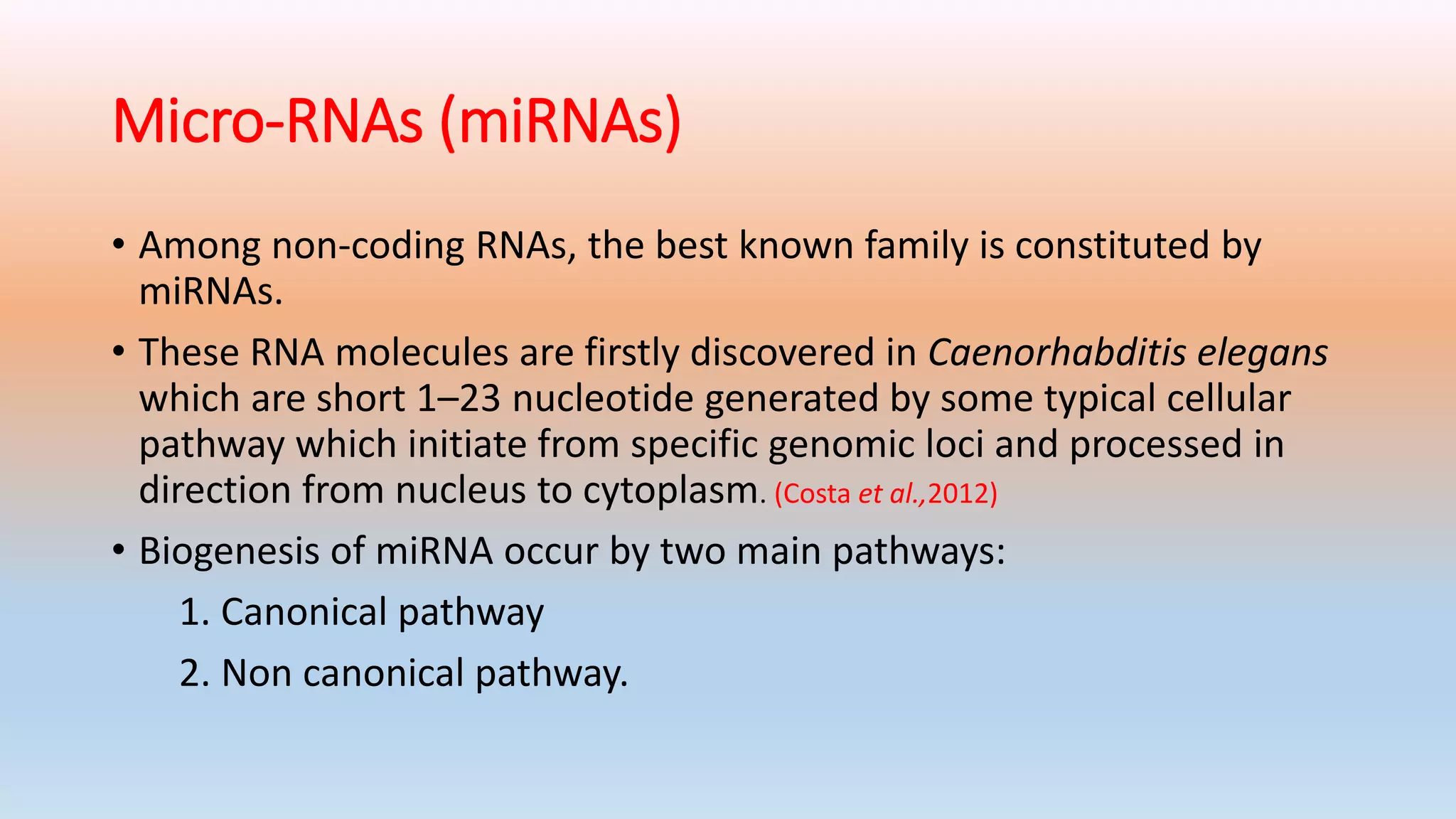 non coding RNA | PPTX | Endocrine and Metabolic Diseases | Diseases and ...