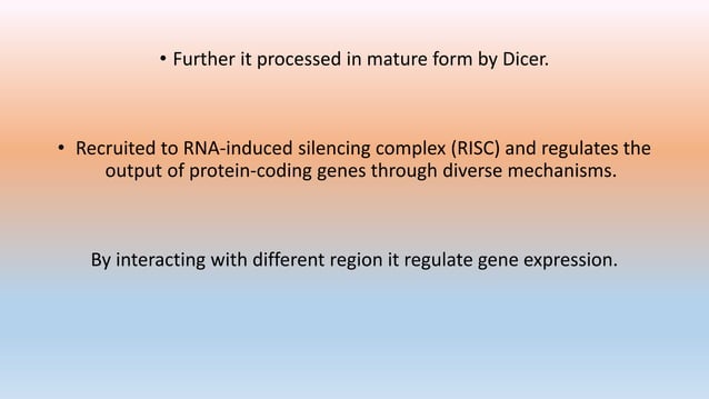 non coding RNA | PPTX | Endocrine and Metabolic Diseases | Diseases and ...