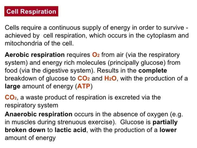 breathing and respiration{BIOLOGY} | PPTX | Biological Sciences | Science