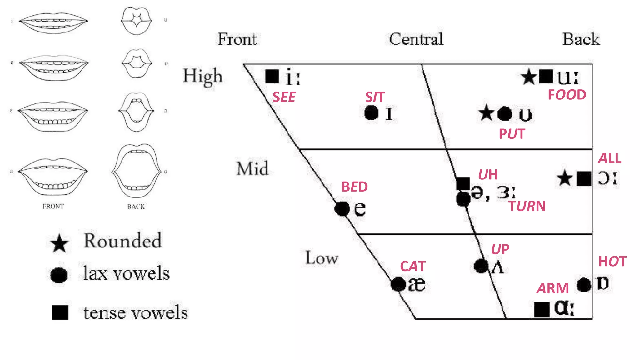 Consonants and Vowels | PPTX