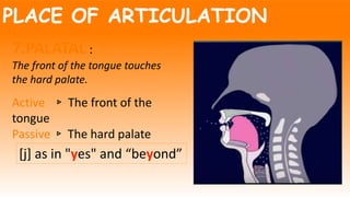 Consonants and Vowels | PPTX